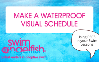 Blog » Swim Angelfish